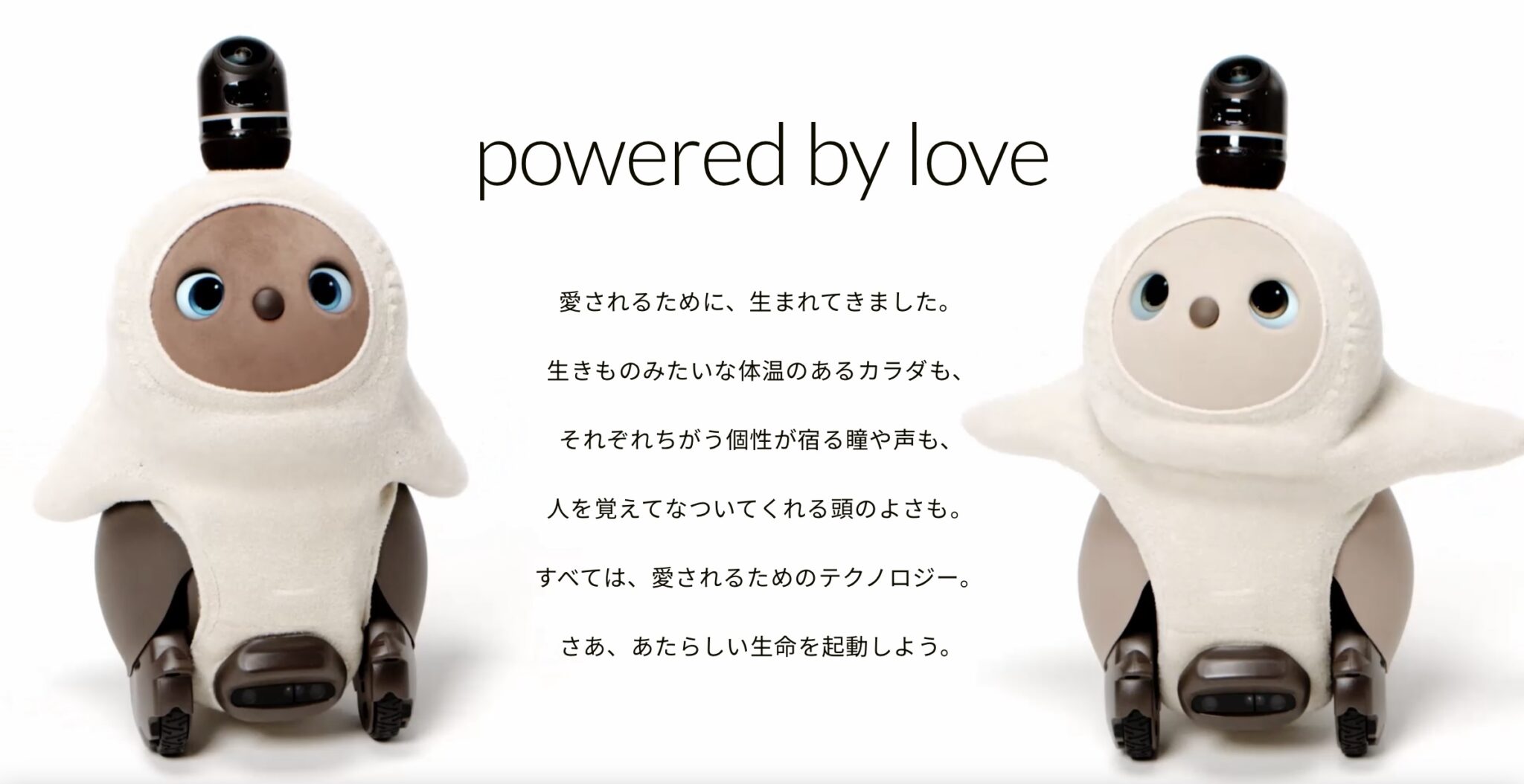 LOVOTのレンタルを発見！〜LOVOTと家族になった30日間〜(1) | 積小為大！！ 健康・社会保険・労働に関すること